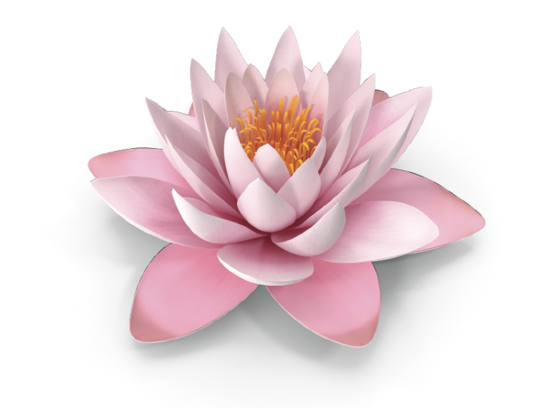 vNOTES | Women's Health of Augusta